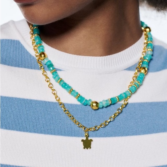 Zara | Jewelry | Zara Nwt Pack Of Turtle And Stone Necklace | Poshmark